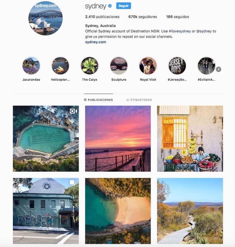 10 Cuentas de instagram sobre Australia que deberías conocer - Dingoos