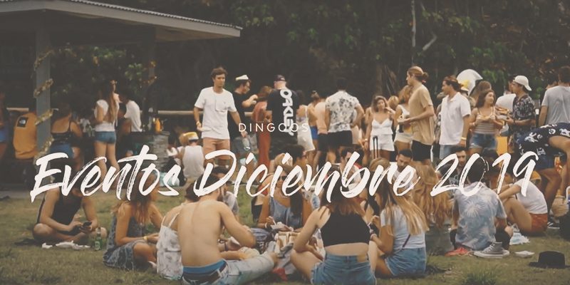 La Navidad en Australia: costumbres y tradiciones - Dingoos