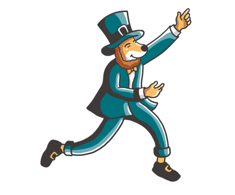 Ireland: everything you need to know - Dingoos